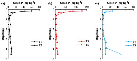 Distribution Of Subsurface Nitrogen And Phosphorus From Different Irrigation Methods In A Maize