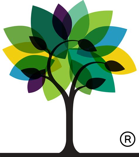 Evolving With The Times A Qanda On The New Carnegie Classifications