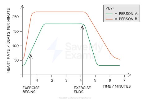 Cardiac Output Stroke Volume And Heart Rate Aqa Gcse Physical