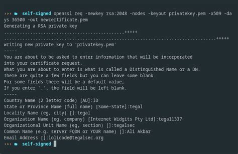 Generate Fake Self Signed SSL Certificate TEGALSEC
