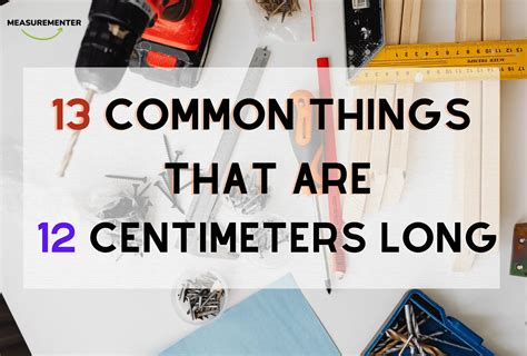 13 Common Things That Are 12 Centimeters Long Measurementer