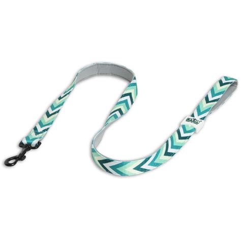 Buy Pure Catnip And Cat Toys Online In India Premium Quality And Fun For Your Cat The Basil Pet Care Buy Pure Catnip And Cat Toys Online In India Premium Quality And Fun For Your Cat The Basil Pet Care