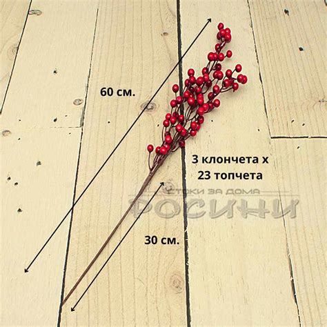 Декоративна коледна клонка Имел плодчета