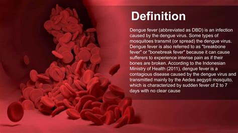 PPT DBD Pptx