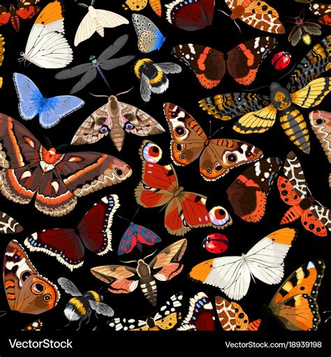 Insects Seamless Pattern Royalty Free Vector Image