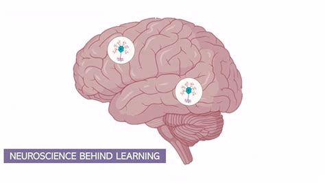 Learning Brain
