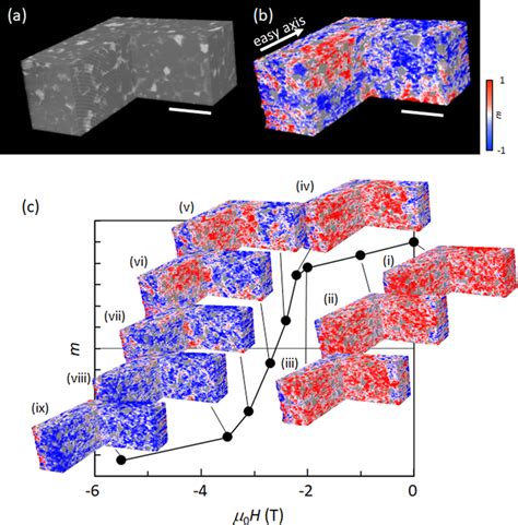 Microstructure And Magnetic Tomography Experimental Results A B Download Scientific Diagram