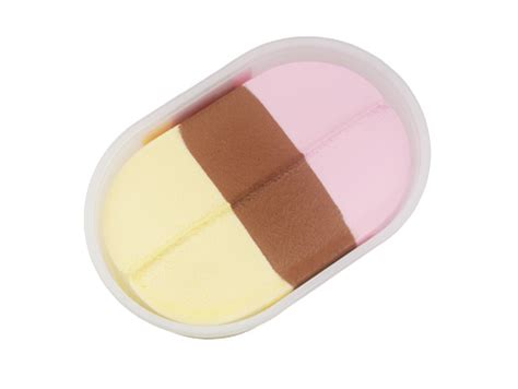 Neapolitan Ice Cream Strawberry Chocolate Vanilla In Plastic Container