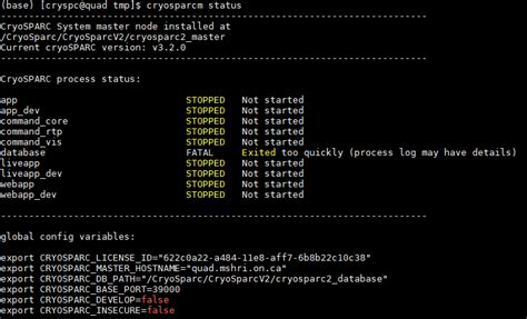 Cryosparc Is Running Normally But The Database Status Is Fatal Troubleshooting Cryosparc
