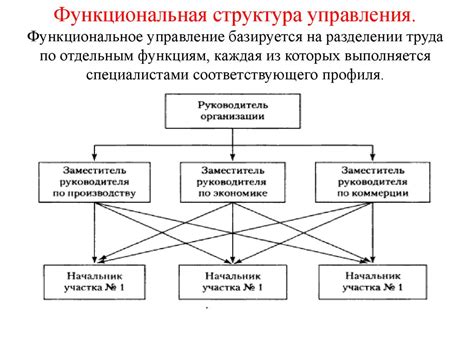 Организация в системе менеджмента линейная функциональная дивизиональная и адаптивные
