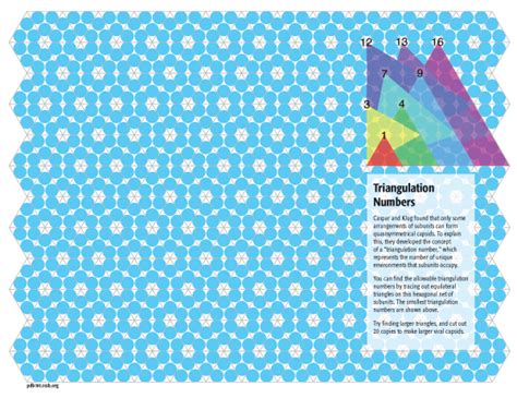 Pdb 101 Learn Paper Models Quasisymmetry In Icosahedral Viruses