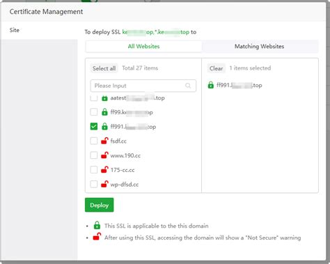 Domains Comprehensive Aapanel Documentation Guides Tutorials Api
