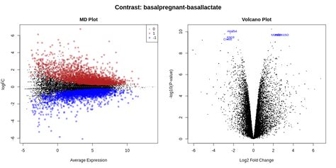 Rna Sequence Chart