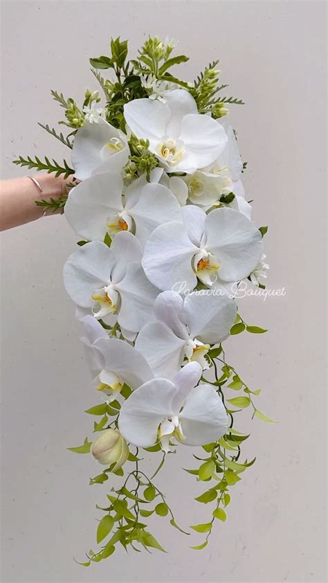 웨딩플라워 디렉팅부케 라노비아💐 그날의 예쁜꽃으로 만들어드리는 라노비아 작품부케🩷🧡 ️부케 주문 제작 And 꽃다발 꽃바구니 주문 가능 예약 필수 ️메인