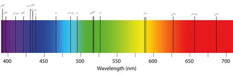 What Is The Difference Between Action Spectrum And Absorption Spectrum