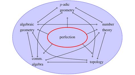 Perfection In Algebra Geometry And Topology