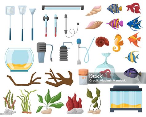 수족관 및 물고기 키트 돌 수족관 장비 벡터 일러스트레이션 식물의 다양한 유형 금붕어에 대한 스톡 벡터 아트 및 기타 이미지 금붕어 기포 날씨 Istock