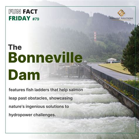finulent solutions on linkedin funfact funfactfriday hydropower
