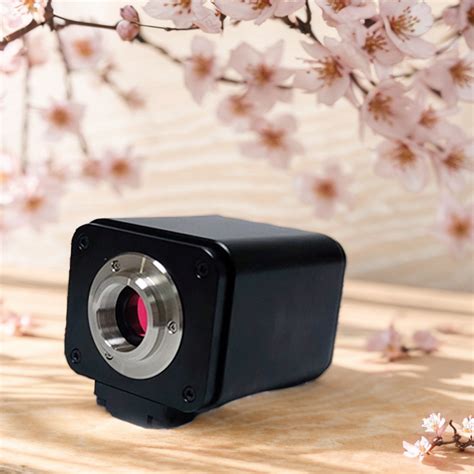 Mss 4K16mA High Resolution USB Microscope Camera USB Microscope Camera And Sony Imx334 Sensor