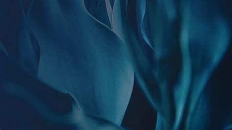 Partner Gerald Montagu Joins Stephenson Harwoods Tax Practice