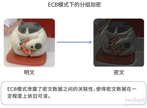 密码学原语如何应用？解析密码学特有的数据编解码 搜狐大视野 搜狐新闻