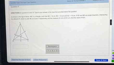 Question Type Text Input Type Question Marks StudyX