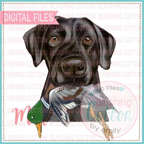 Lab Duck Svg Etsy