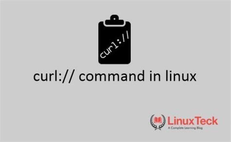 15 Basic Curl Command In Linux With Practical Examples Linuxteck