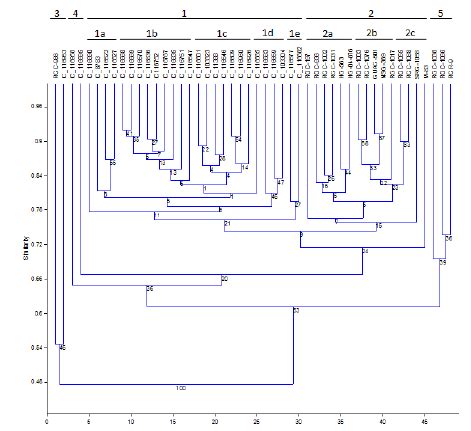 Dendrogram Generated By Download Scientific Diagram