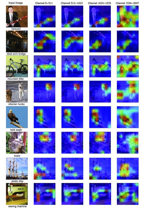 Additional Grad Cam Visualization Results Download Scientific Diagram
