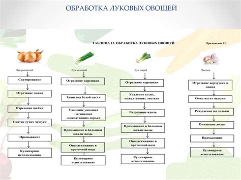 Приготовление и подготовка к реализации полуфабрикатов из овощей презентация онлайн
