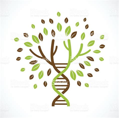 DNA Genetic Icon Tree With Green Leaves Royalty Free Stock Vector Art Family Tree App
