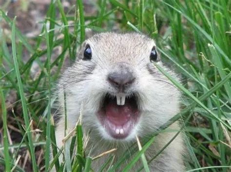 The Folder Structure Of Macos Everything You Need To Know By Ali Azizjahan Medium