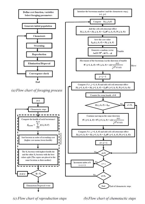 Flowchart Of Foraging Process 10 Download Scientific Diagram