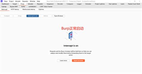 Web安全攻防渗透测试实战指南之Burp工具使用 CSDN博客