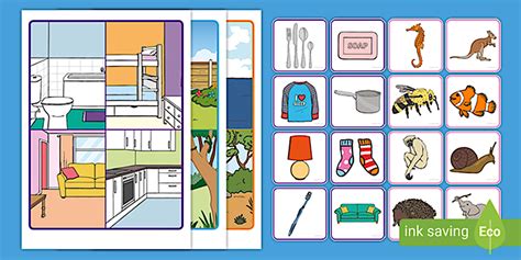 Sorting Categories Activity Teacher Made Twinkl