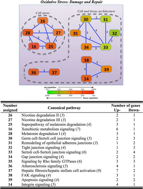 Overlapping Network Of Hypothalamic Response To Hyper And Hypo Osmotic