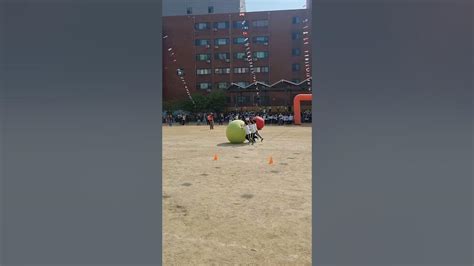 세종초등학교 운동회 공굴리기 Youtube