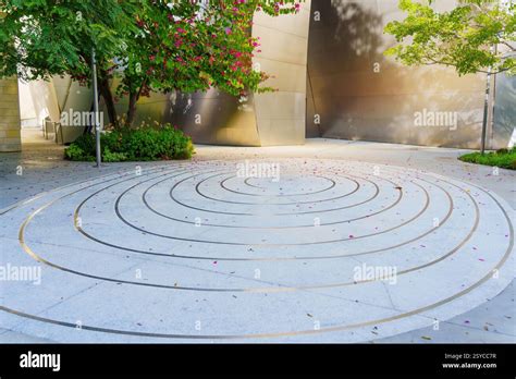 Los Angeles California January 7 2025 Intricate Wish Circles