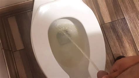 Dancing In The Public Restroom XHamster