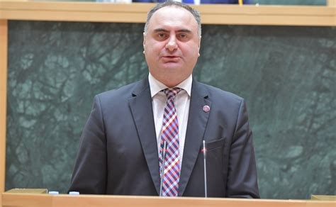 გრიგოლ გიორგაძე „გირჩის“ დაკიდული ბაღები ვერ იქნება ალტერნატიული