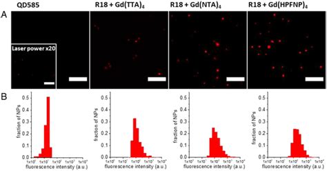Single‐particle Characterization Of Gd‐based Nps A Single‐particle