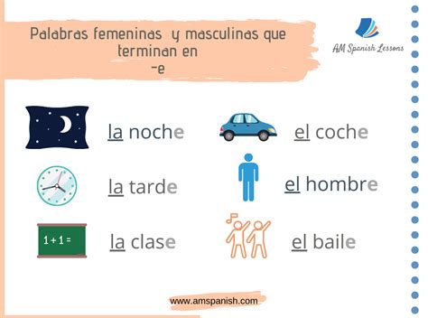Rules To Learn The Gender In Spanish AM SPANISH LESSONS