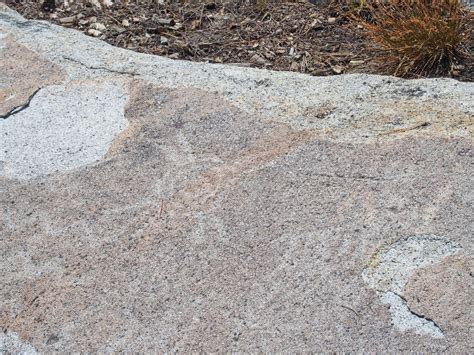 Petroglyphs And Pictographs
