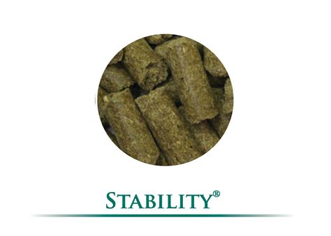 Excel Equine Stability Cube Green Gaits