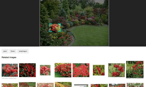 Bing Visual Search Lets You Search Specific Objects Within Images