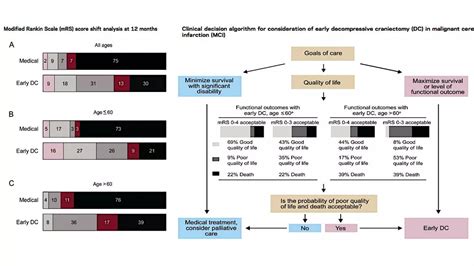 Decompressive Hemicraniectomy For Large Hemispheric Infarction Pptx