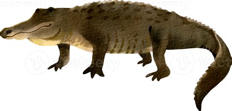 Watercolor Crocodile Clip Art 15268237 Png