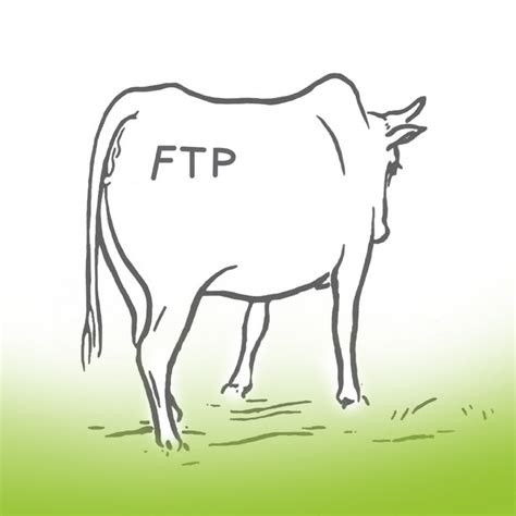 Hosted~ftp~ Resources Youtube