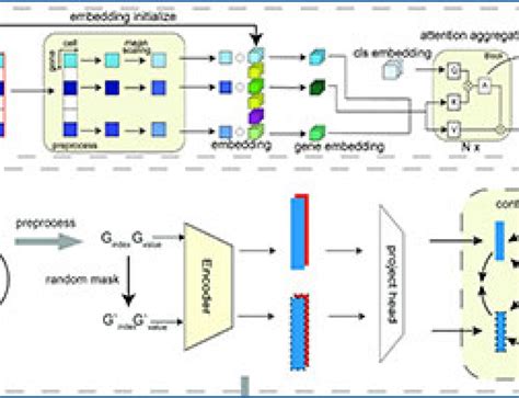 Scwizard A Web Based Automated Tool For Classifying And Annotating